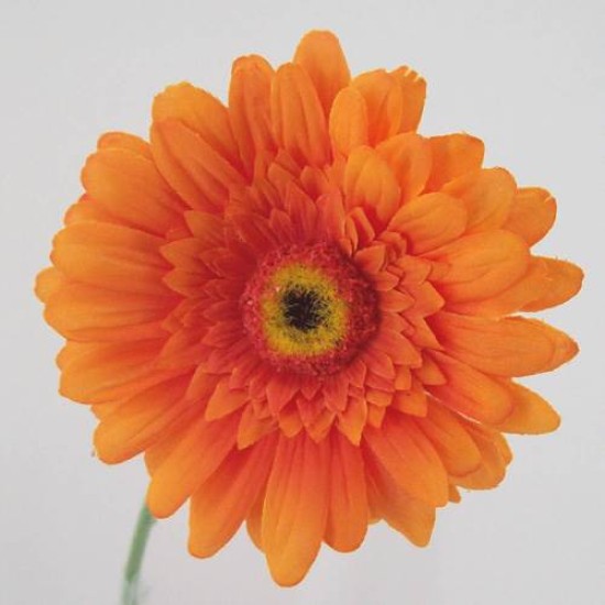 Orange artificial flowers store